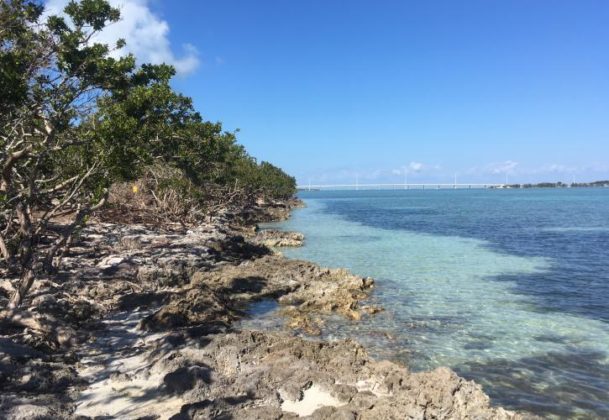 The Best Things To Do in the Florida Keys By Month
